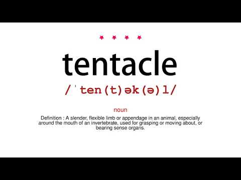 How to pronounce tentacle - Vocab Today