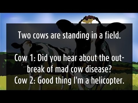 25 Jokes That Are So Dumb But Actually Funny [Mr Ranbea]