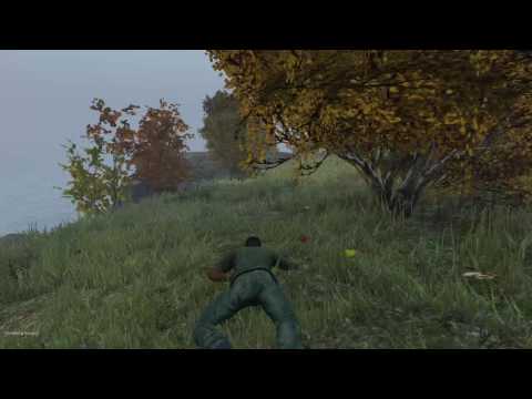 Steam Community :: Video :: Dayz BUG SPEED