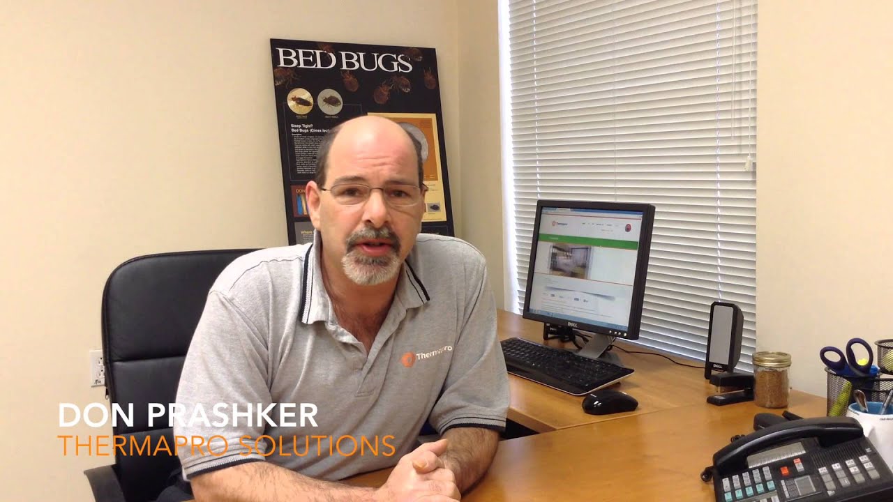 Psychology of having bed bugs