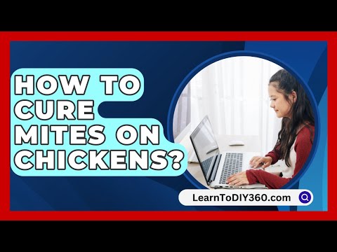 How To Cure Mites On Chickens? - LearnToDIY360.com