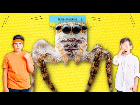 The Scariests Spider Ever | FOR KIDS