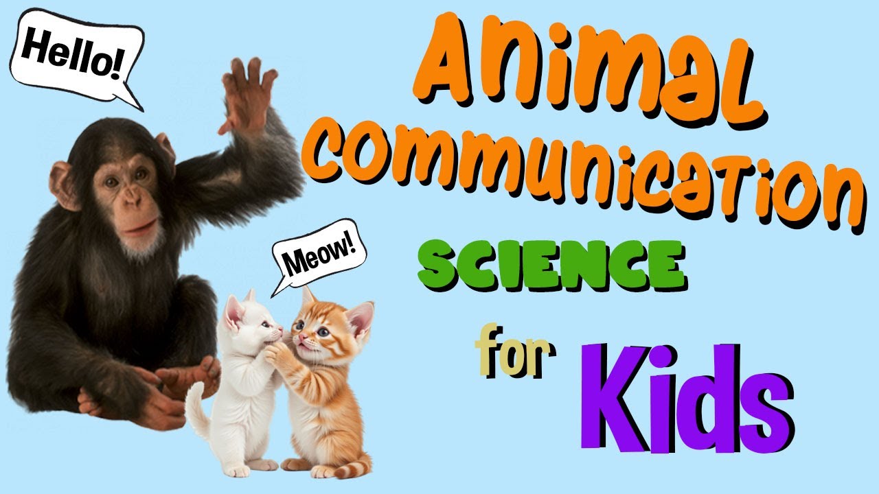 Communication in Animals | Science for Kids