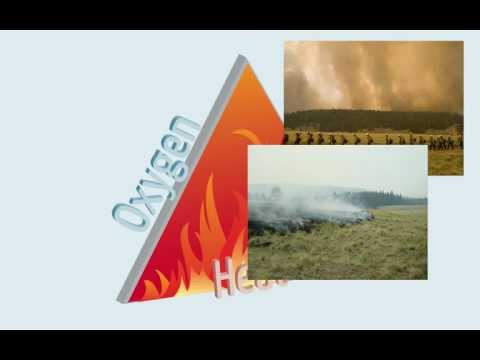 The Fire Triangle | What are the best Fire Suppression Systems?