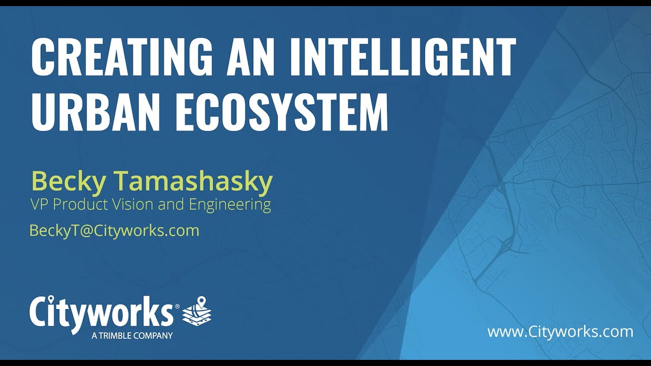 Creating an Intelligent Urban Ecosystem