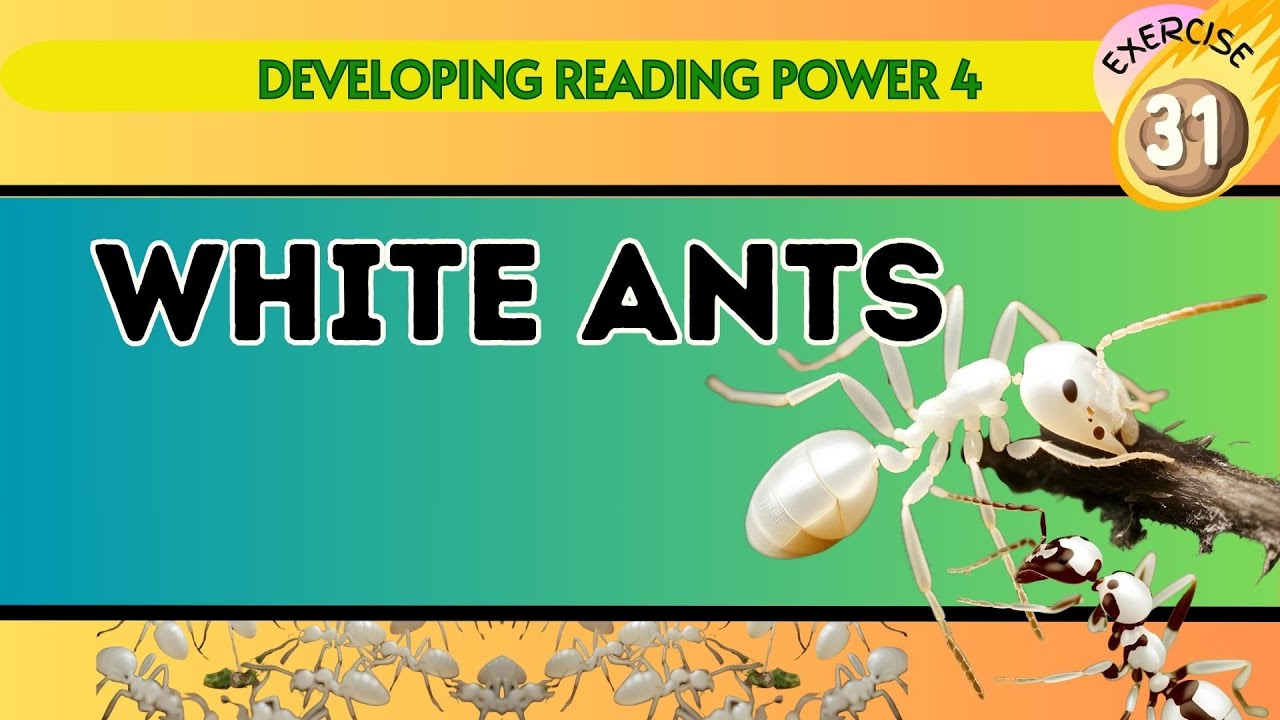 WHITE ANTS| DEVELOPING READING POWER 4| READING COMPREHENSION