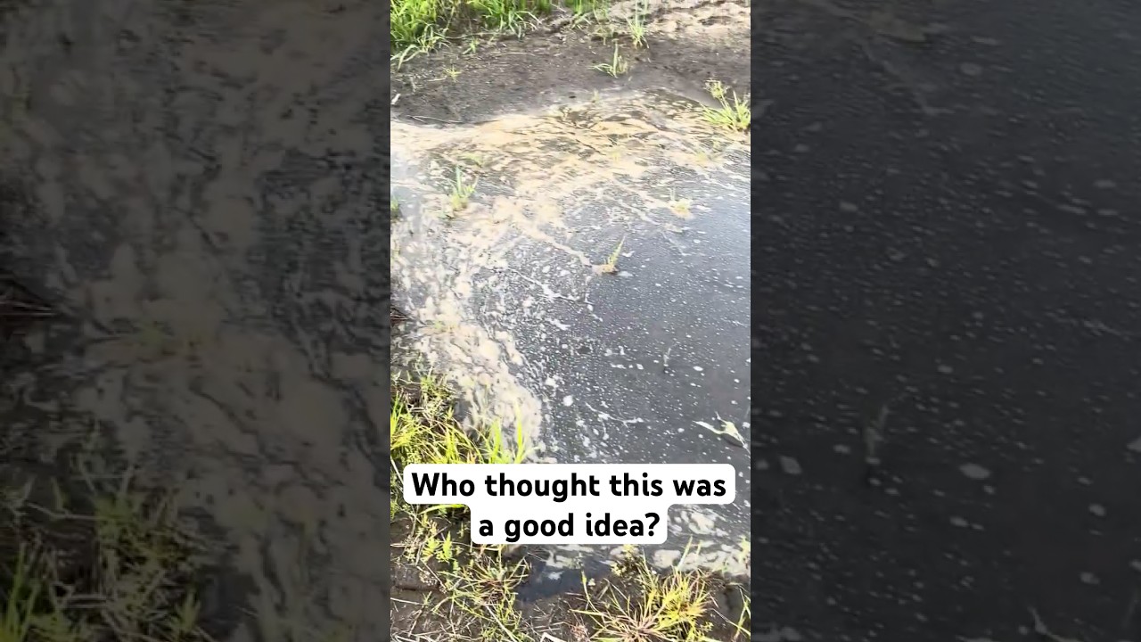 Wild style farming vs “keeping it clean” Japan-style