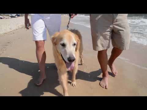 Florida's Forgotten Coast - St. George Island