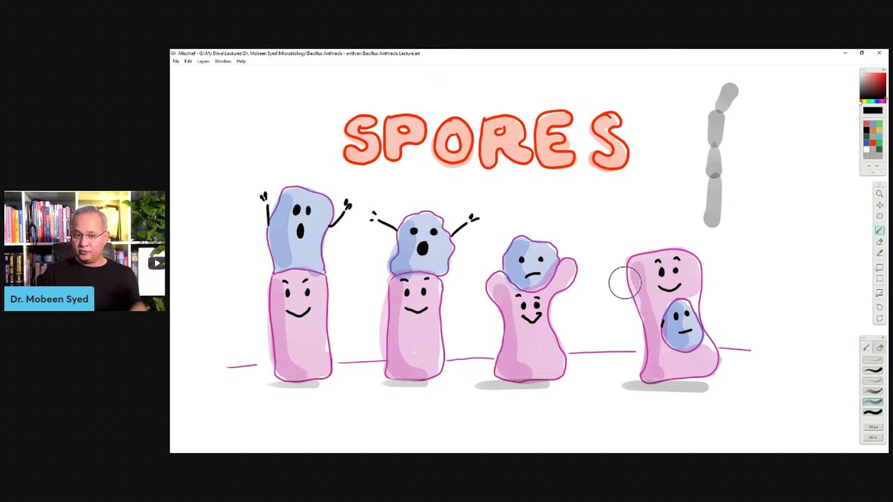Bacillus Anthracis - Why Is Anthrax So Deadly?