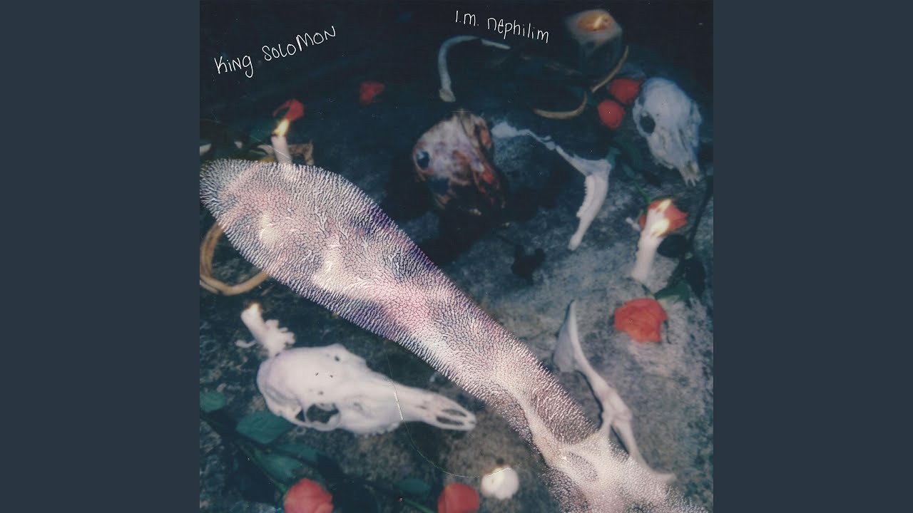 i.m. nephilim