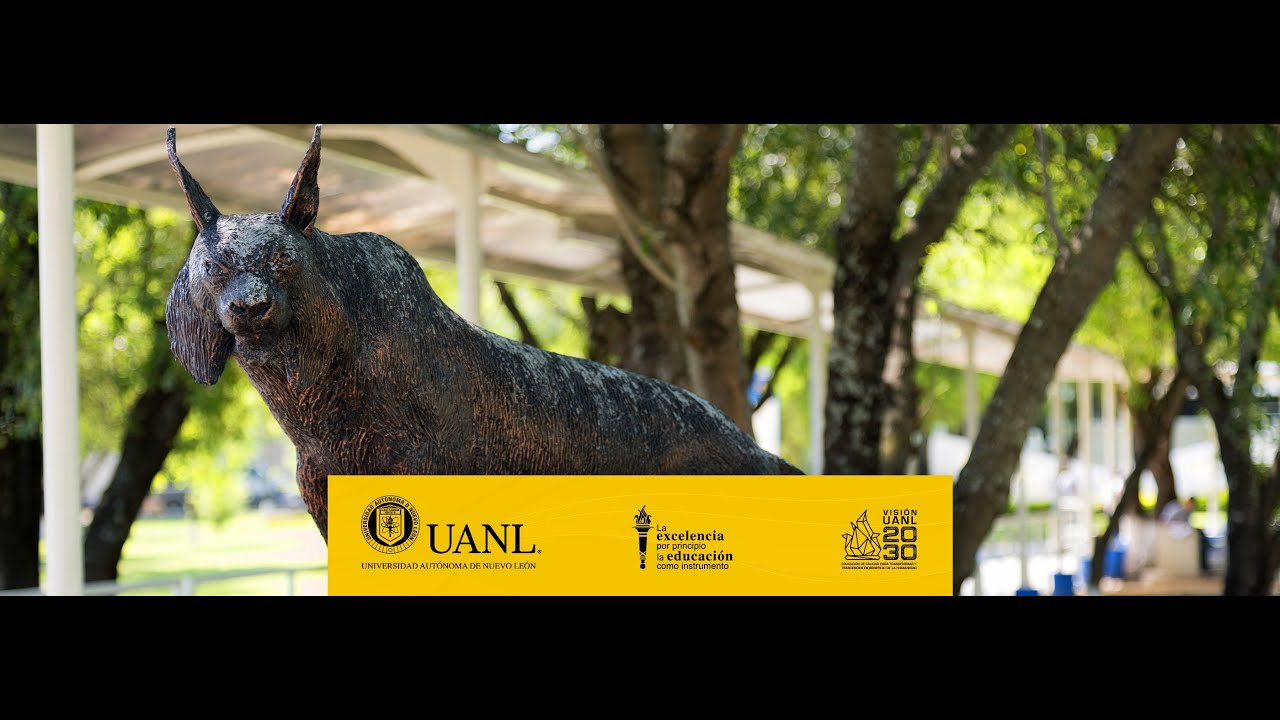 Video Institucional Prepa 12