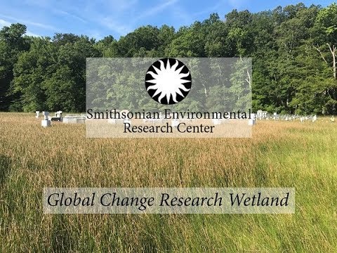 Global Change Research Wetland--2017 Citizen Science Newsletter