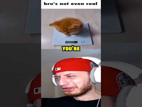 Bro's Not Even Real #shorts #short #memes #meme