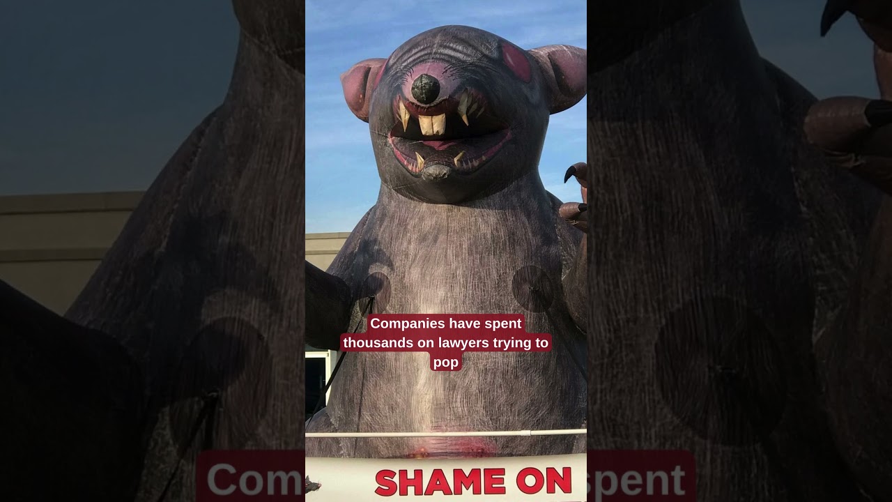 The Union Rat