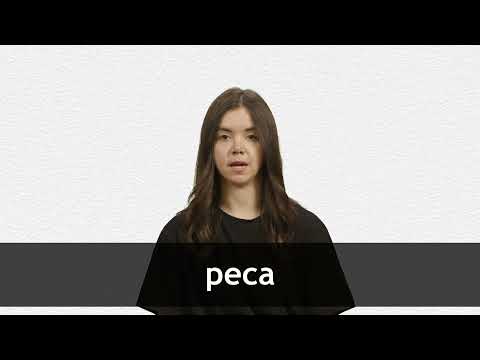 Traducción en inglés de “PECA” | Collins Diccionario español-inglés