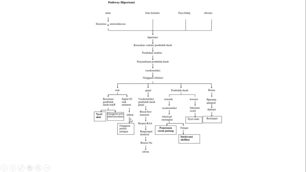 cara membaca pathway hipertensi