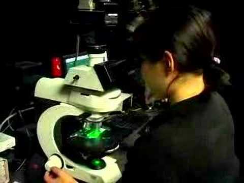 BME: Dr. Grzywacz Research