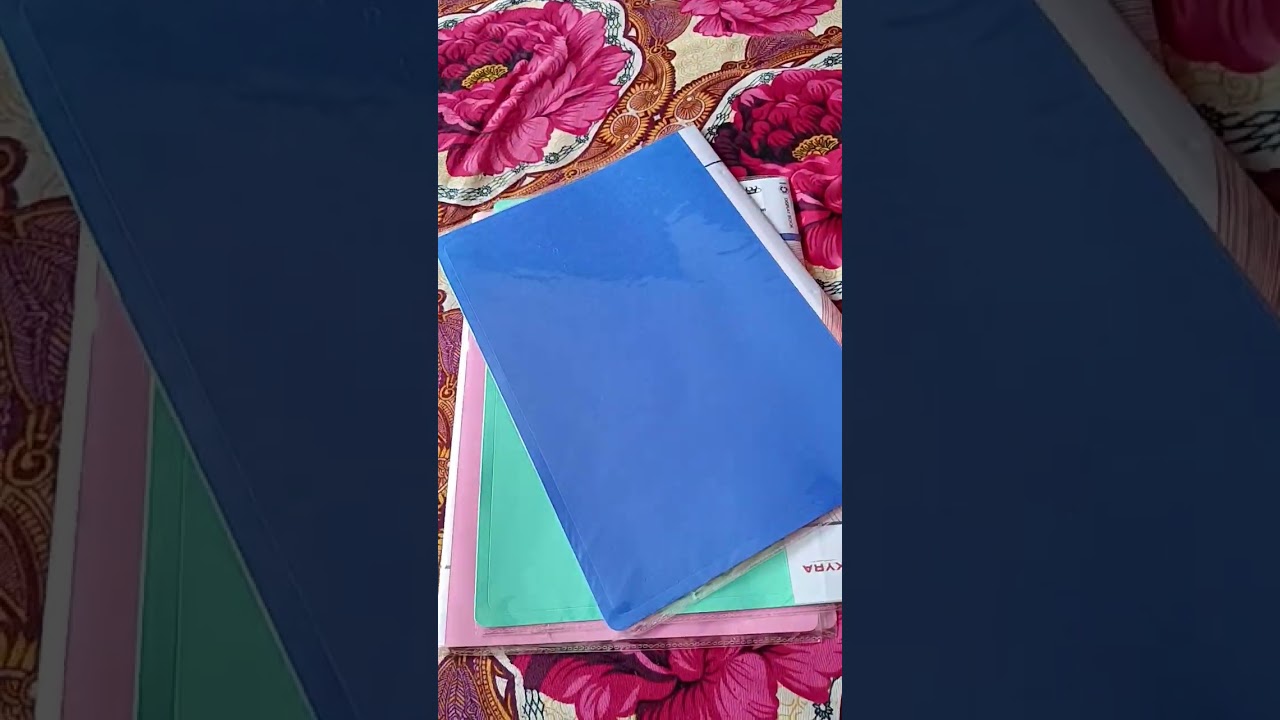 FC Size Presentation Display Book Folder File Binders with Plastic Clear Sleeves Document Organizer