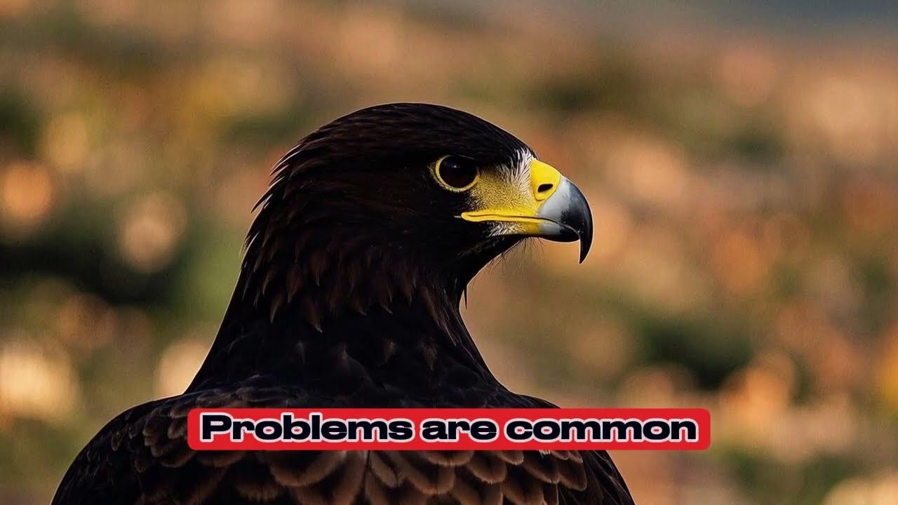 7 Powerful Lessons From The Eagle (Animated Mindset Mastery)
