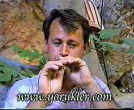 sipsi | YÖRÜK ( BOZULMAMIŞ TÜRK DEMEK)