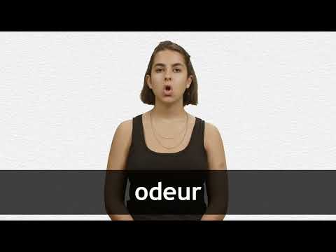 English Translation of “ODEUR” | Collins French-English Dictionary
