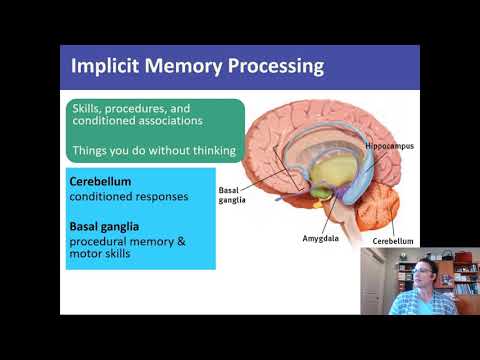 Introductory Psychology Memory: Storage & Retrieval