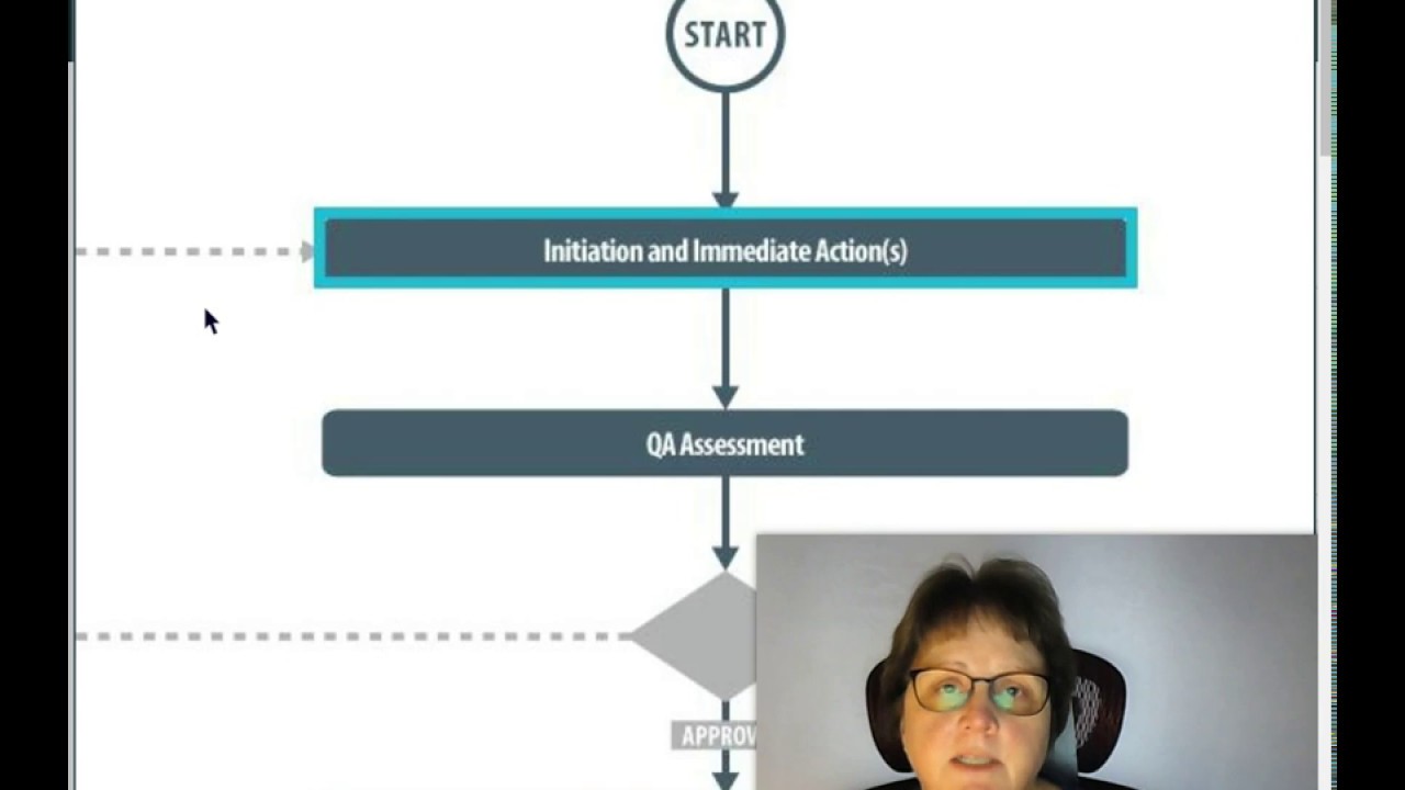 SOLABS QM 10  Deviation Process Overview