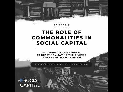 The role of commonalities in social capital
