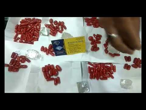 Red Coral at Best Price in India