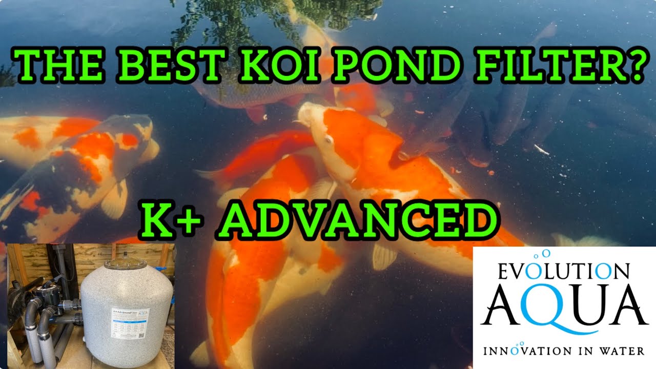 The BEST KOI POND FIlTER? Evolution aqua K+ advanced review