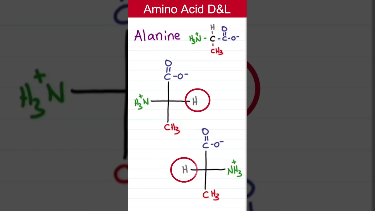 Amino Acids D & L Configuration