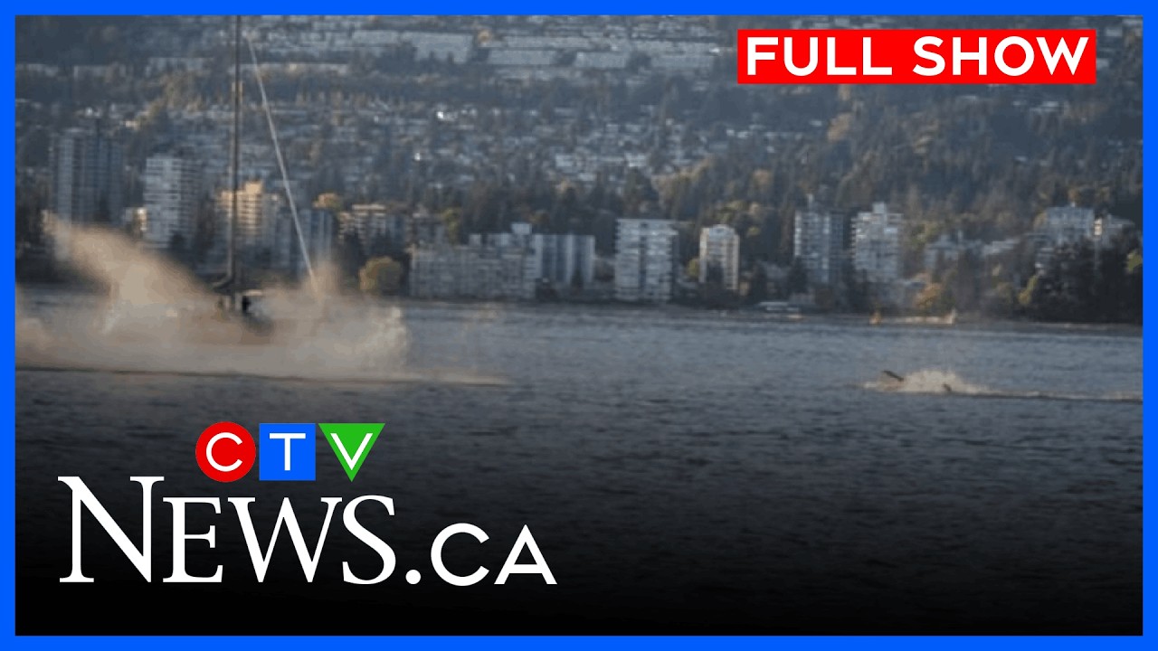 Grey whale struck by watercraft | CTV Your Morning Vancouver for May 5, 2026