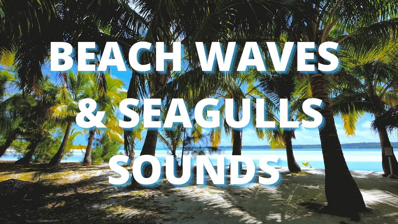 Beach View, seagull sounds 10 hours in 1080