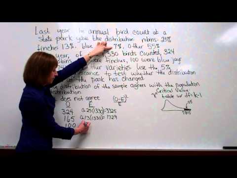 What is the Chi-square Goodness of Fit Hypothesis Test?