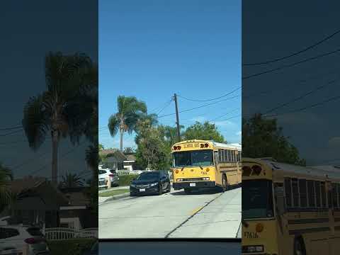 Los Angeles Unified School District 2010 Blue Bird All American RE School Bus