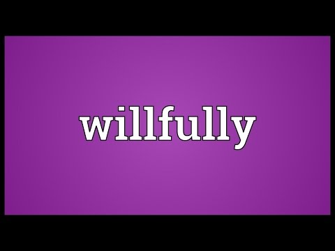 Willfully Meaning