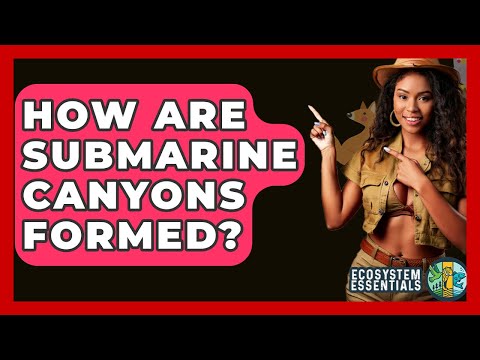 How Are Submarine Canyons Formed? - Ecosystem Essentials