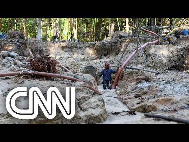 Gilmar suspende presunção de boa fé de compradores de ouro e dá 90 dias ...