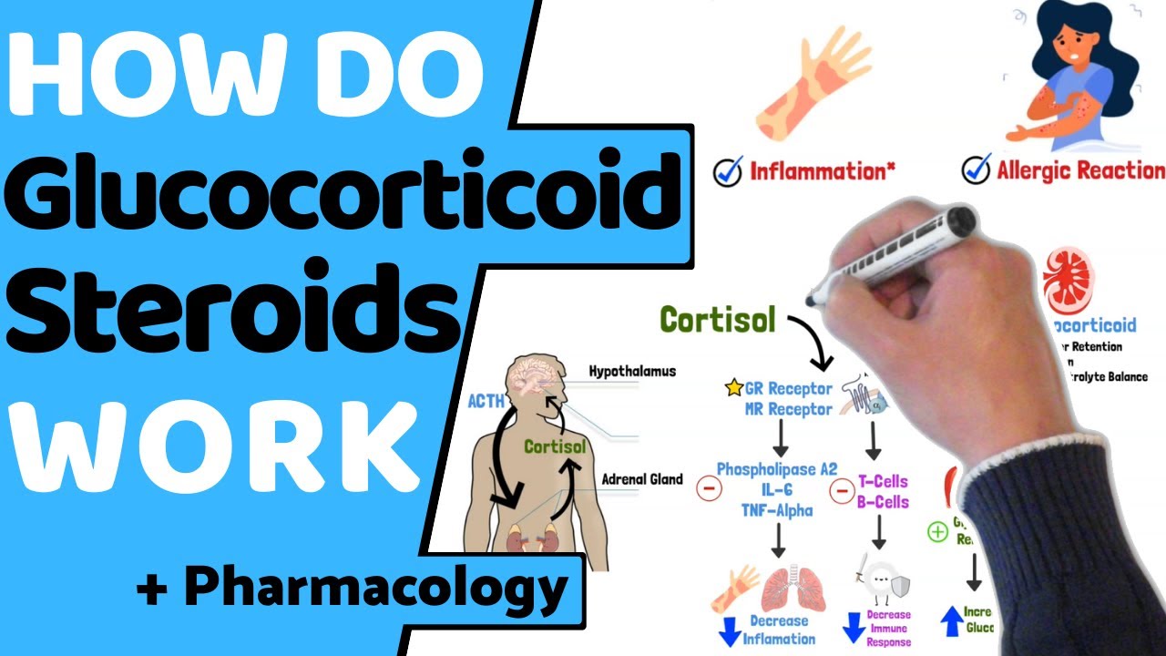 How do Corticosteroids Work?  (EASY Pharmacology)