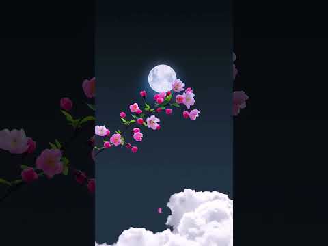 nature animation | nature gif video