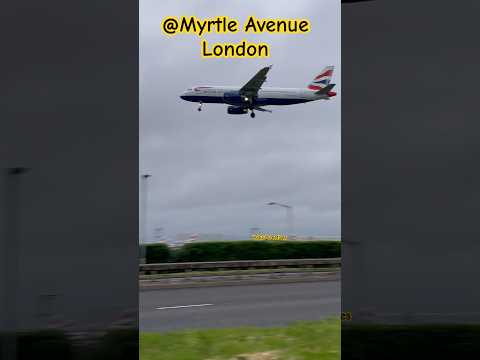 Plane spotted at Myrtle Avenue viewing area #planespotting #myrtleavenue #heathrow #london