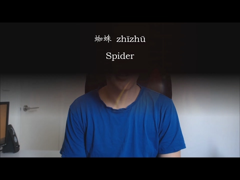 Chinese Word: 蜘蛛 zhīzhū -- spider
