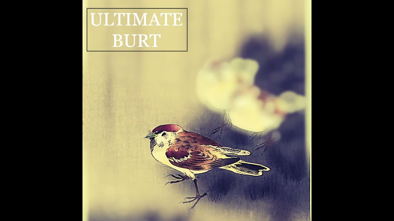 ULTIMATE BURT