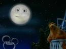 El Oso de la Gran Casa Azul | Ositos Teddy