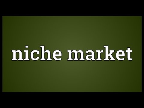 Niche market Meaning