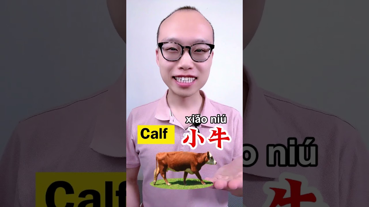 Baby Animals in Mandarin Chinese