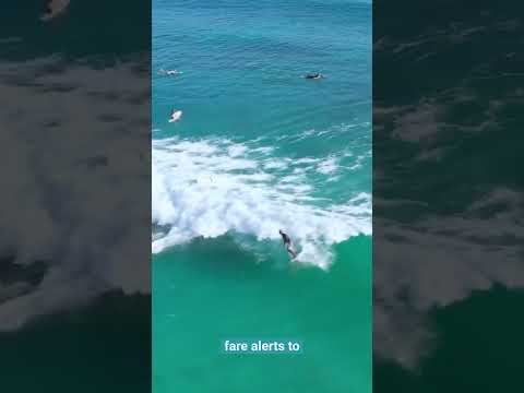 What is the cheapest month to fly to Hawaii? - act fast! - Cheap Flights Hawaii