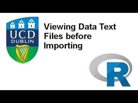 Viewing data text files before importing into R