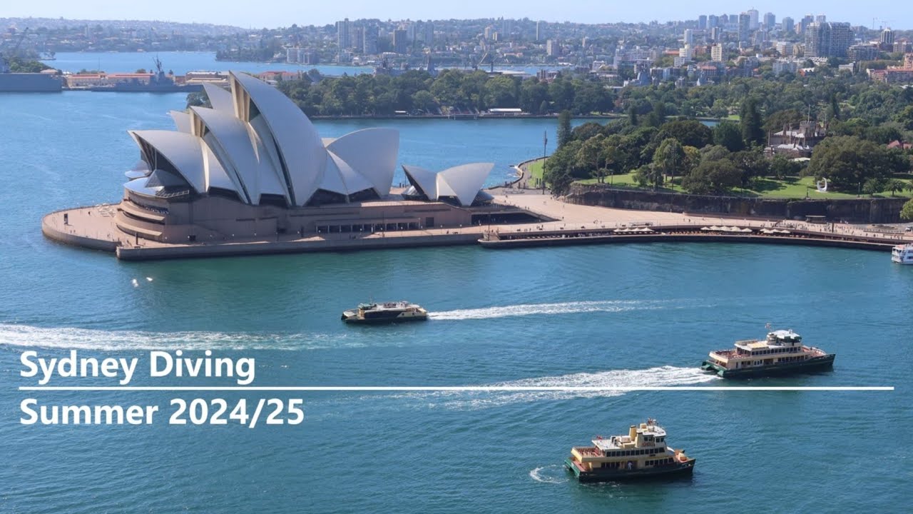 Diving Sydney Summer 2024/25