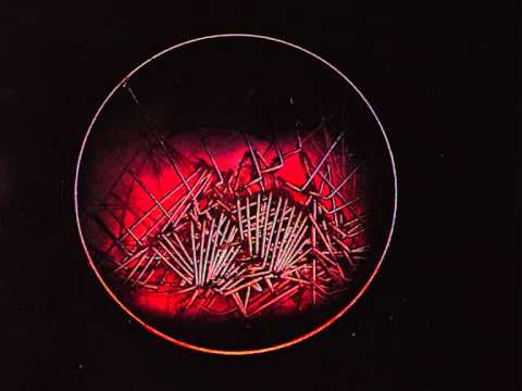 Goffredo Petrassi: Frammento (1983)